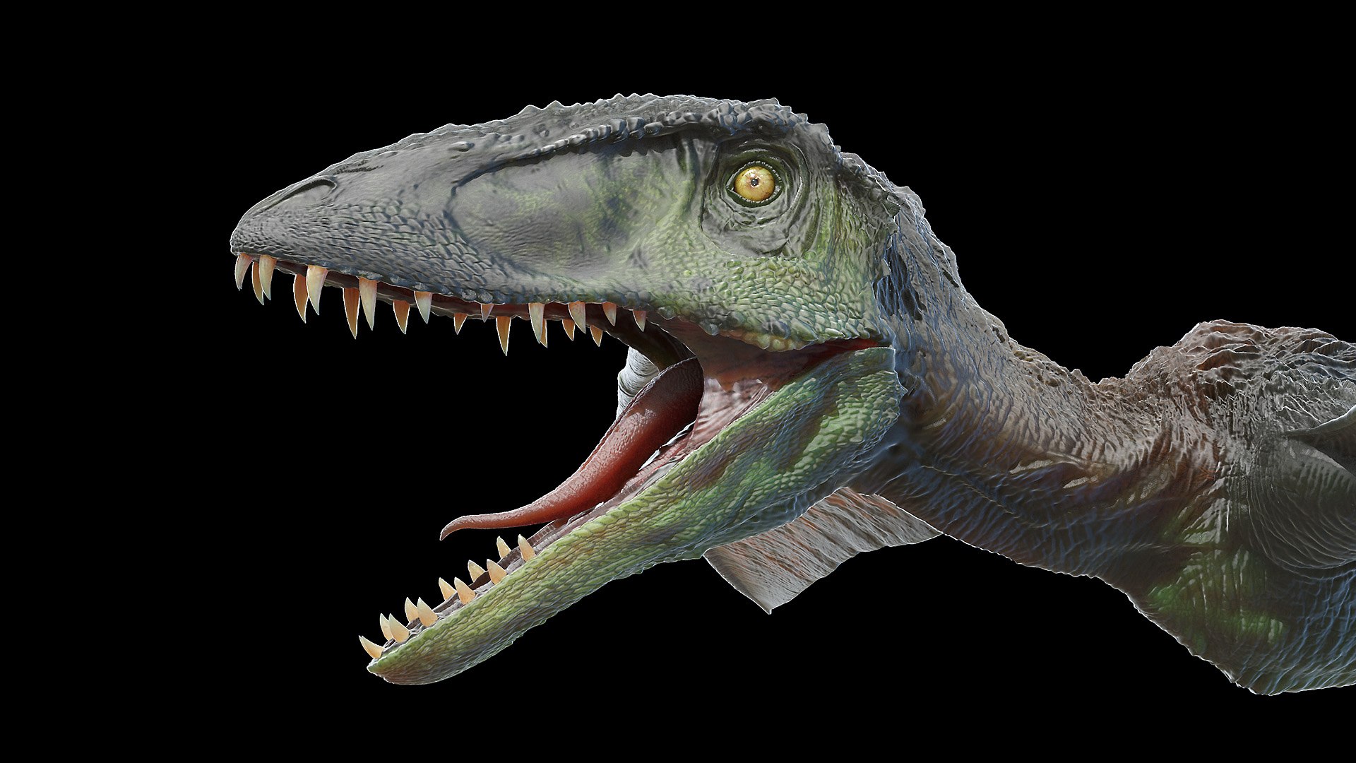 Dimorphodon Model - TurboSquid 1626084