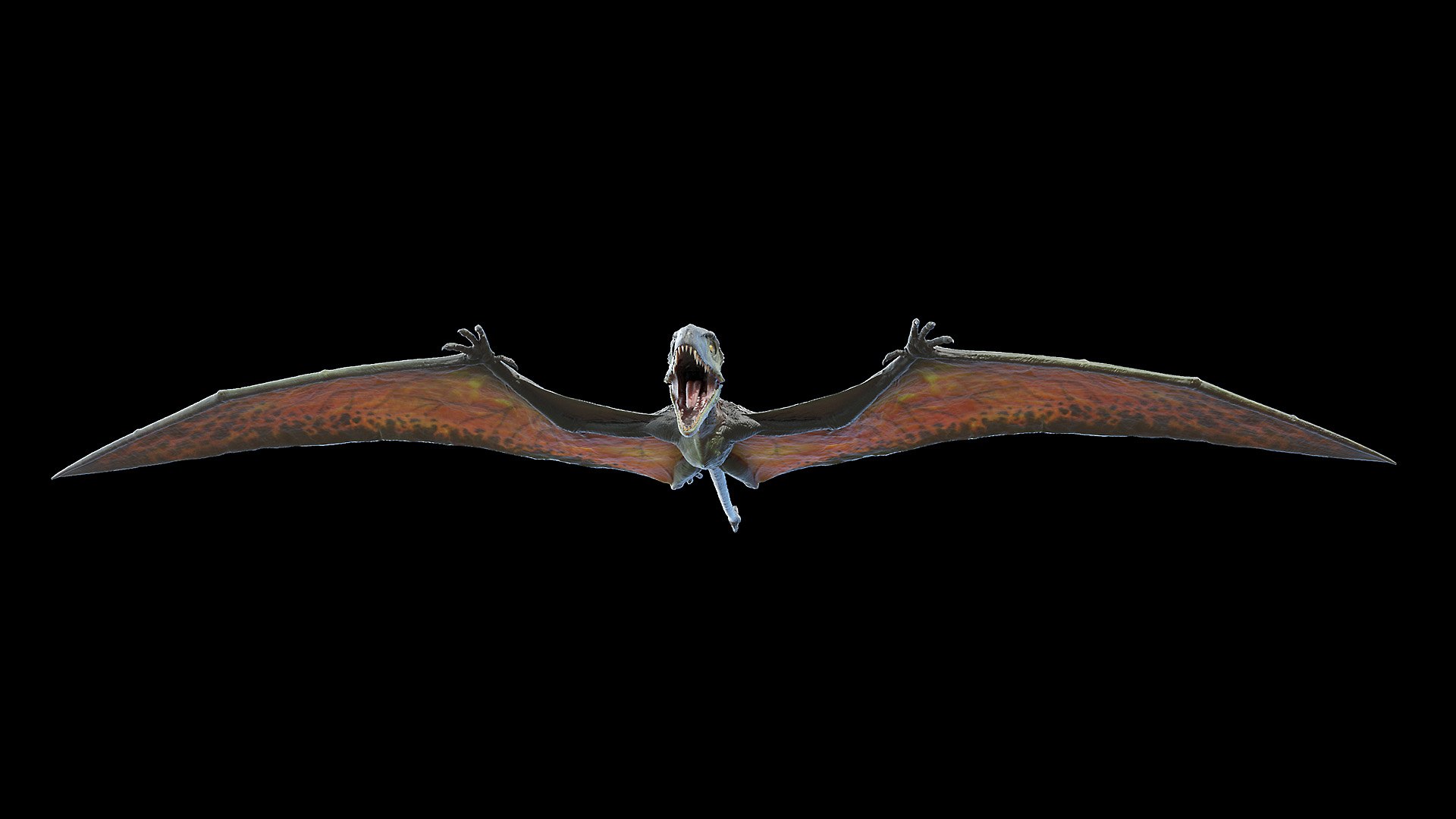 Dimorphodon Model - TurboSquid 1626084