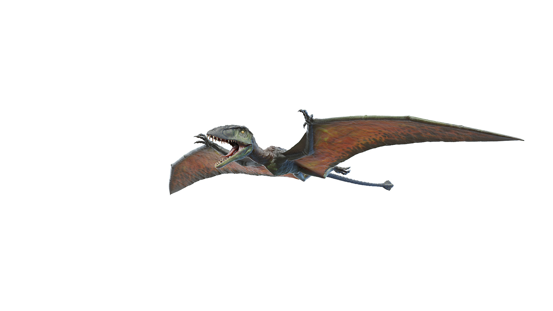 Dimorphodon Model - TurboSquid 1626084
