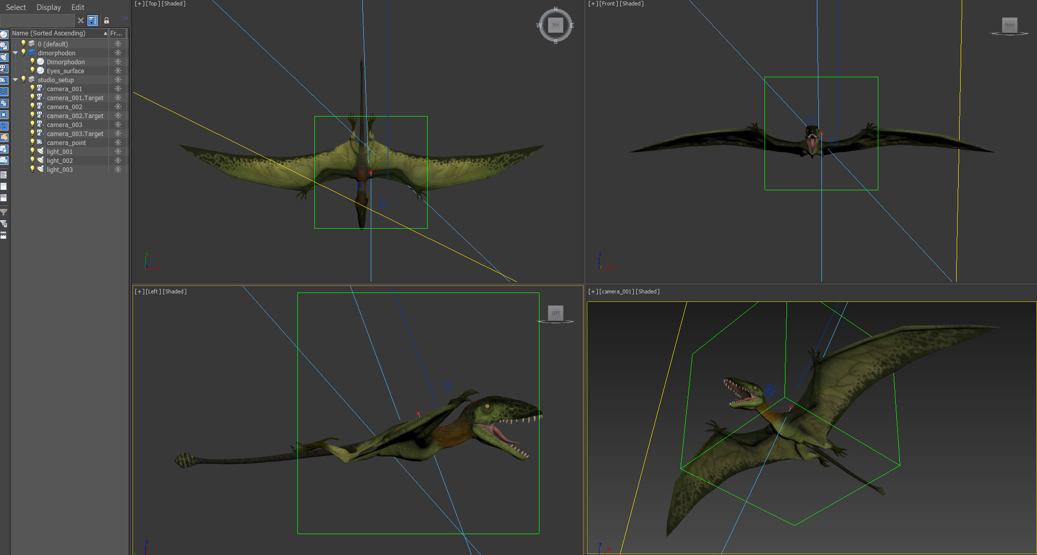 Dimorphodon model - TurboSquid 1626084