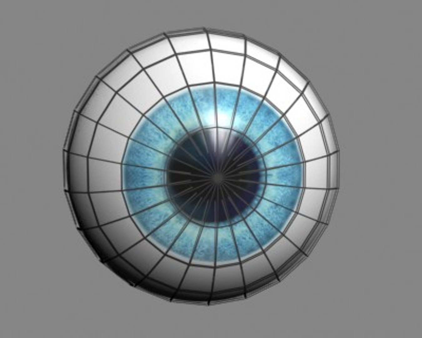 3d Model Of Eye