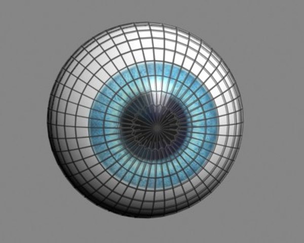 3d model of eye