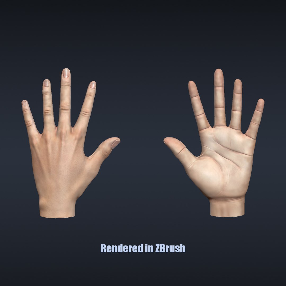 3ds Max Realistic Hand