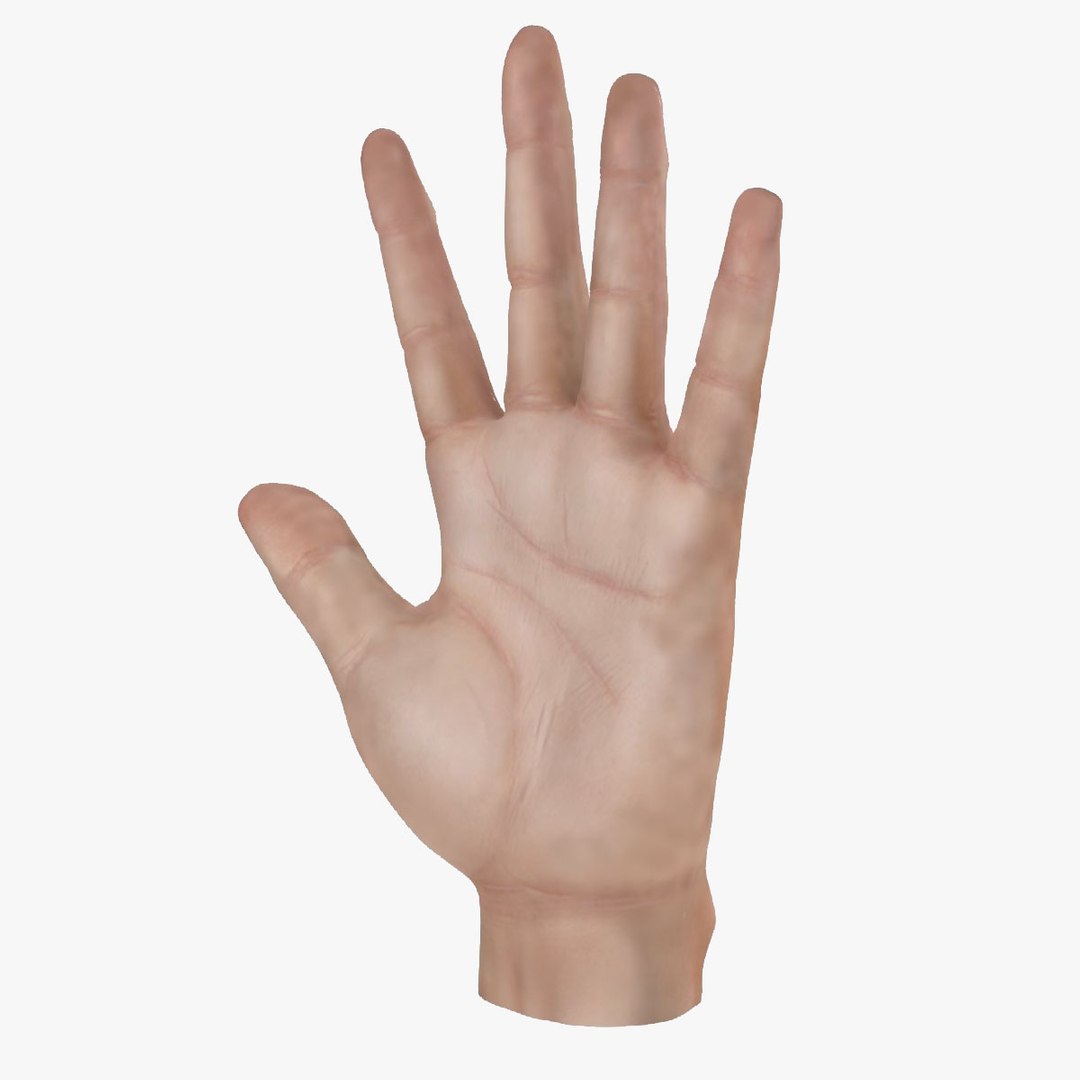 3ds Max Realistic Hand