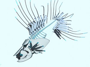 Free 3D Fish Models - Available For Download On TurboSquid