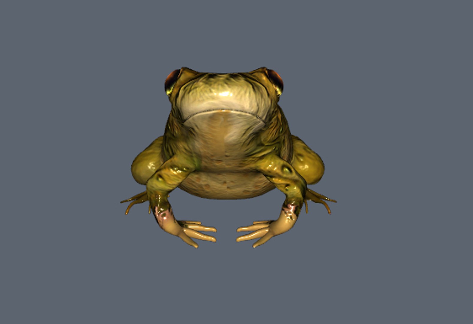 3d Frog