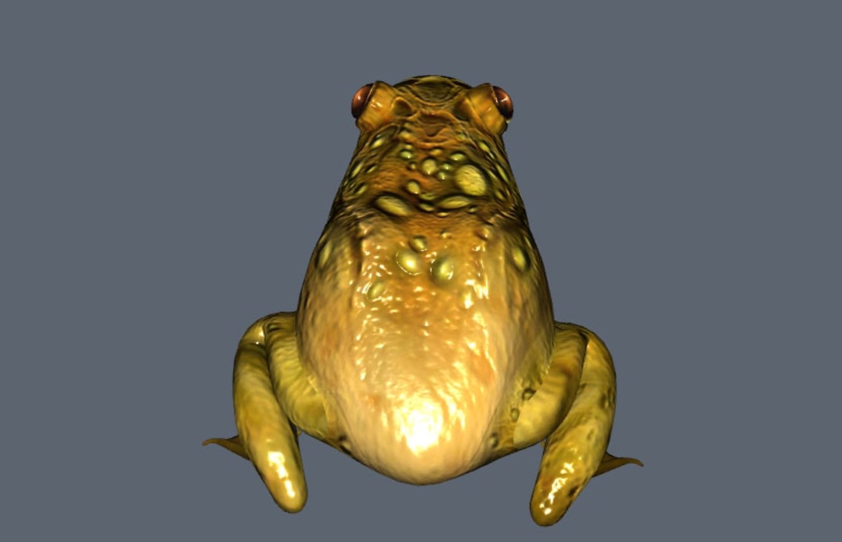 3d Frog