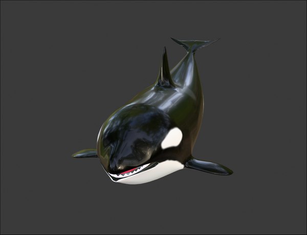 Orca 3D - TurboSquid 1601845