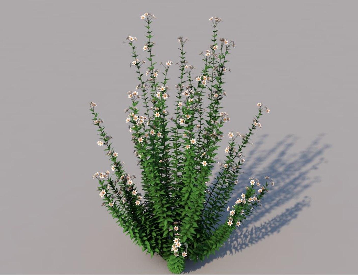 3D Capitatus Flower Model - TurboSquid 1472626
