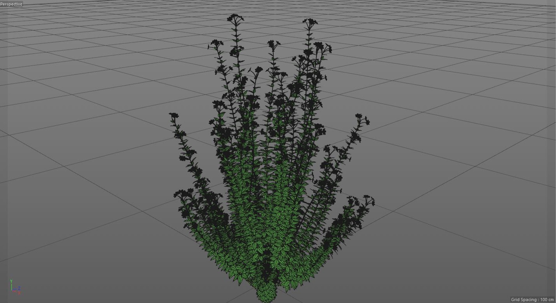 3D Capitatus Flower Model - TurboSquid 1472626