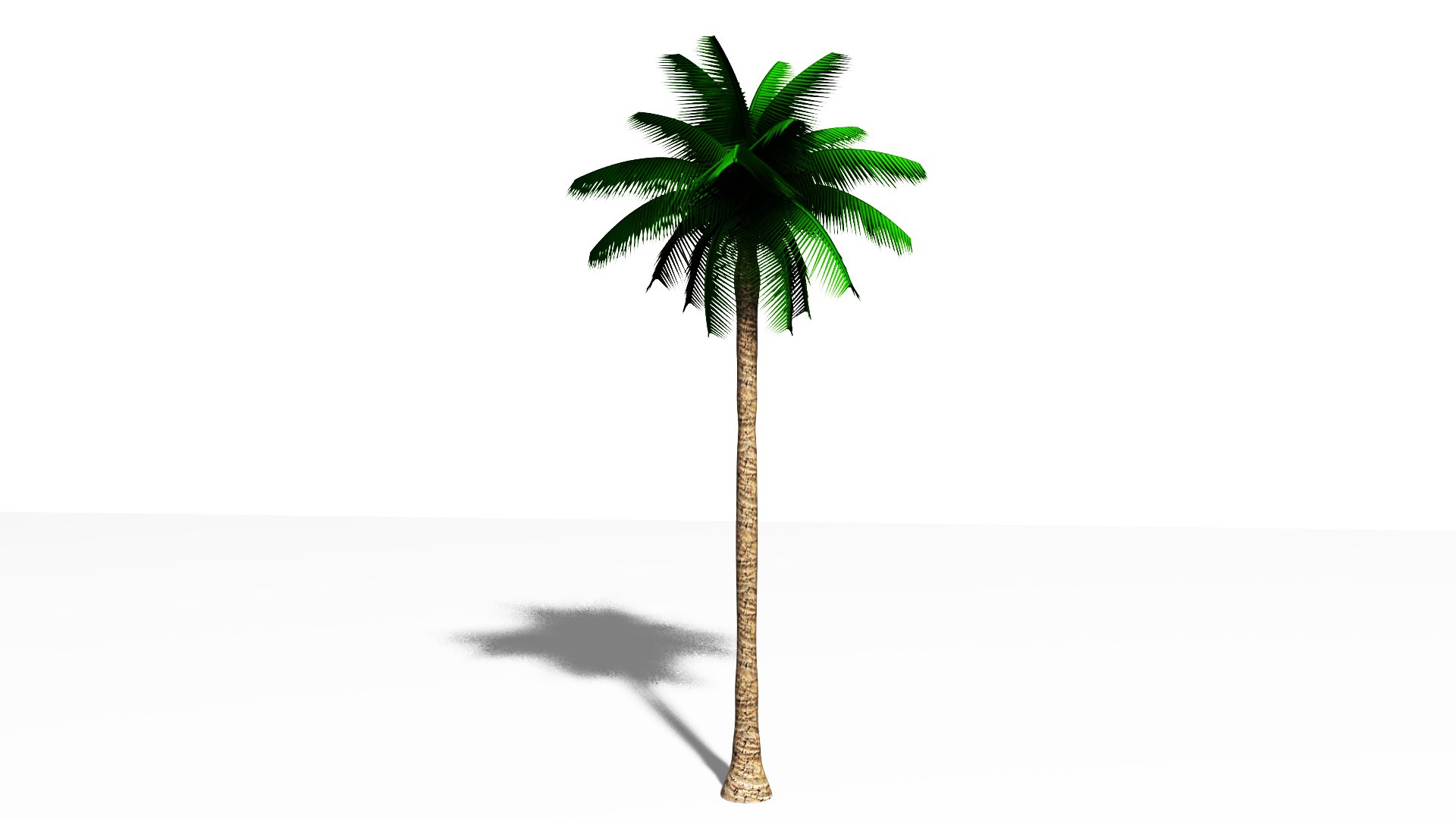 3D Palm Tree Model - TurboSquid 1730708
