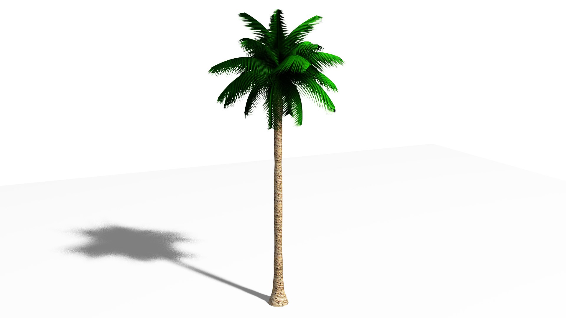 3D Palm Tree Model - TurboSquid 1730708