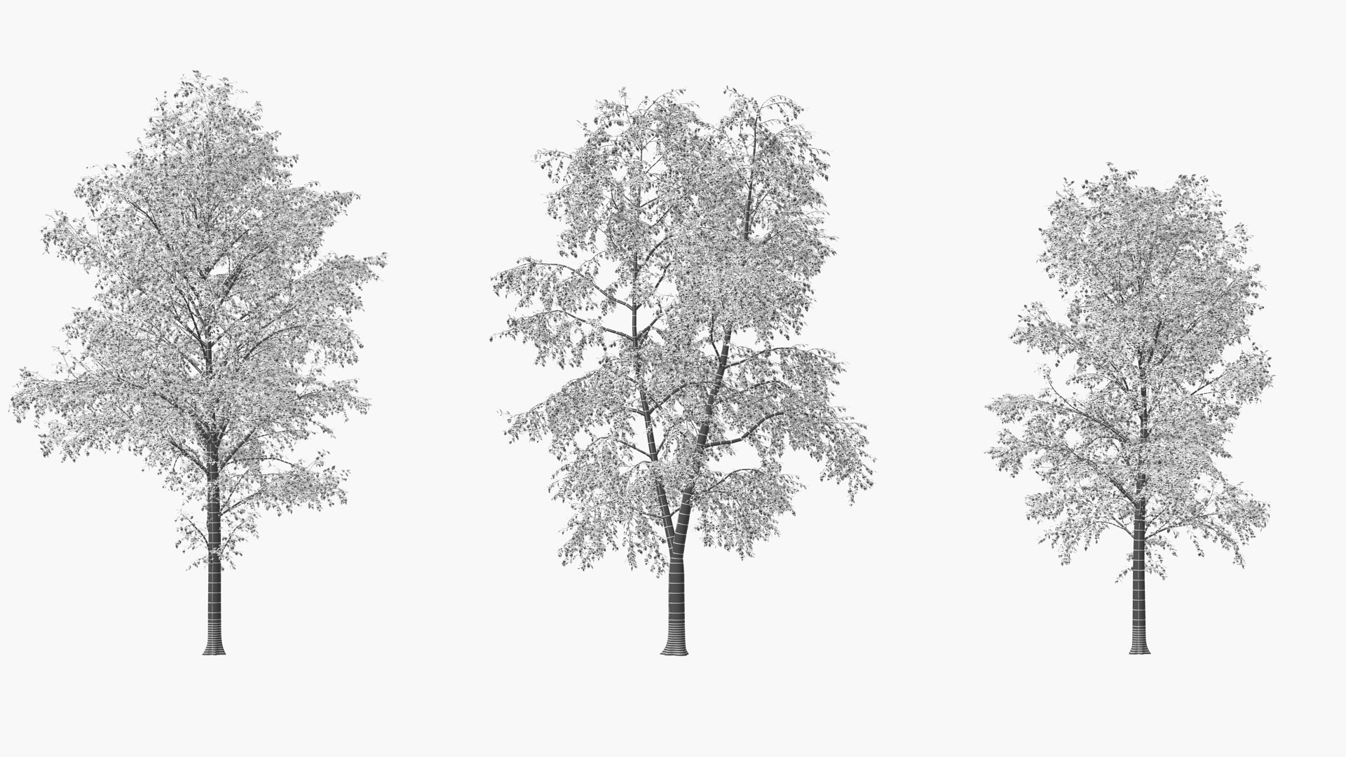 3D Wind Tree - TurboSquid 1667068