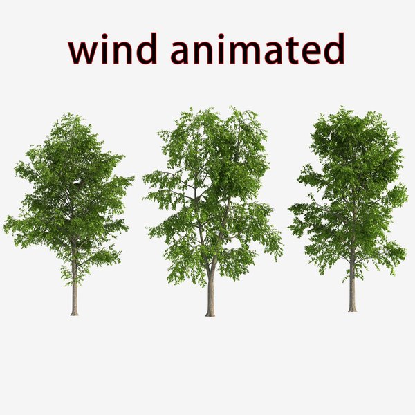 3D wind tree - TurboSquid 1667068