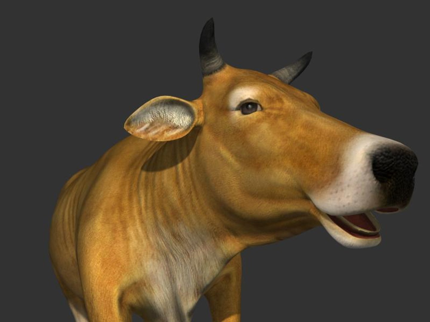 3d Cow