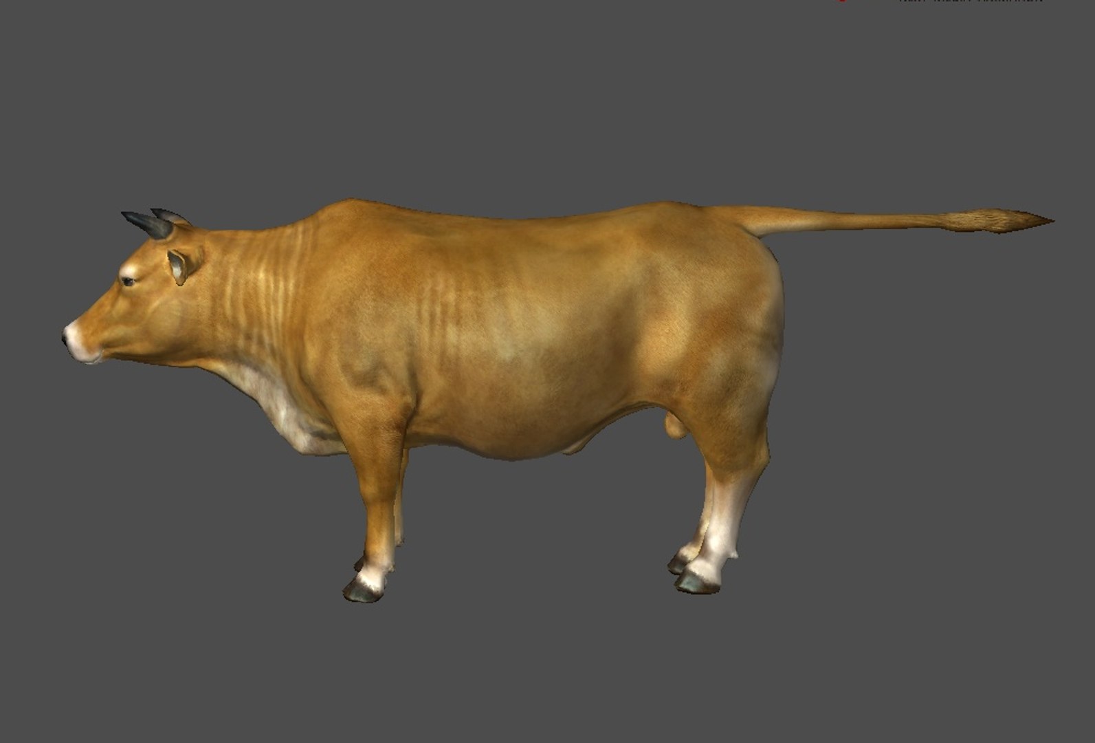 3d Cow