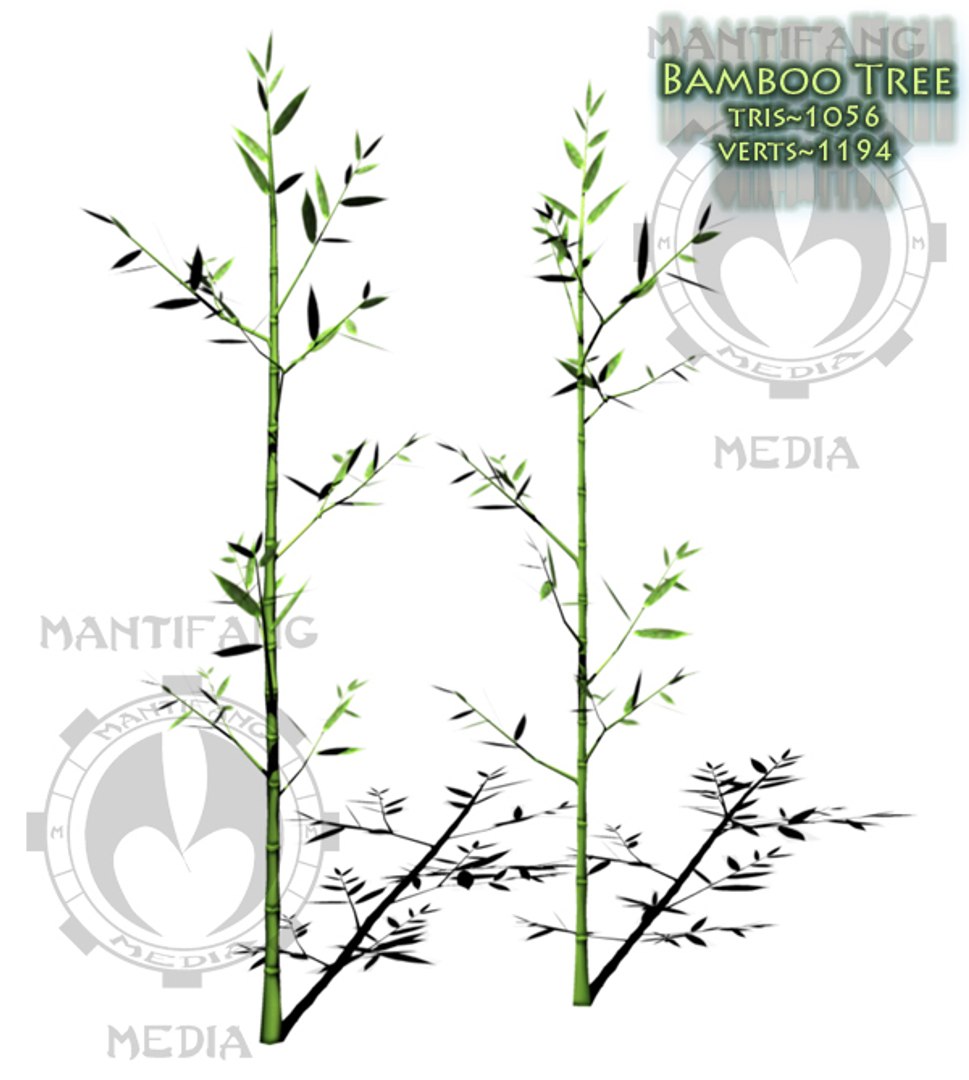 3d model bamboo tree pack