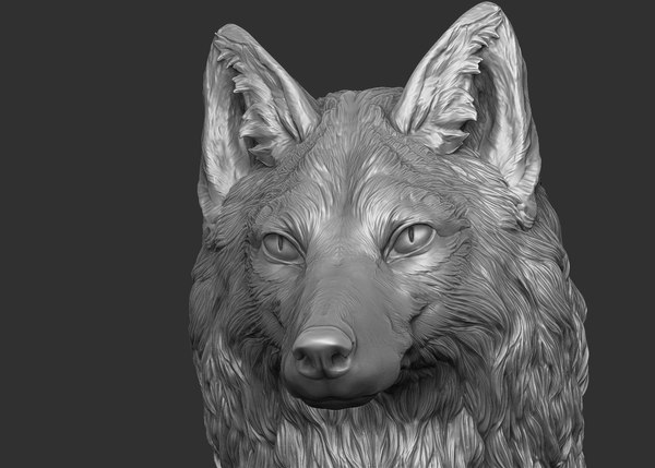 Fox head realistic 3D model - TurboSquid 1290567
