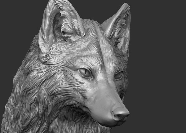 Fox head realistic 3D model - TurboSquid 1290567