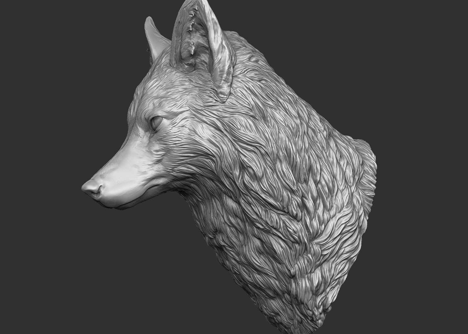 Fox head realistic 3D model - TurboSquid 1290567