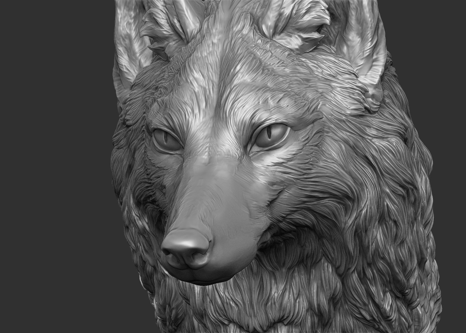 Fox Head Realistic 3D Model - TurboSquid 1290567