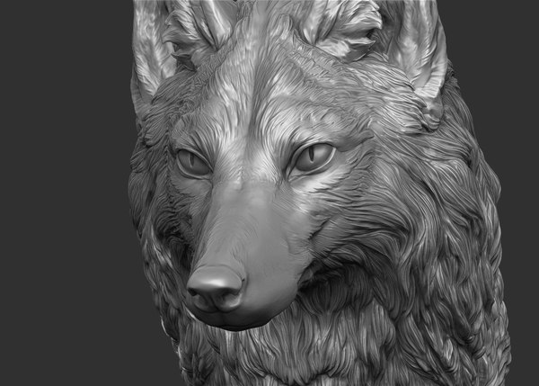 modelo 3d Fox Head Realista - TurboSquid 1290567