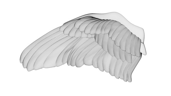 3D wings model - TurboSquid 1665396