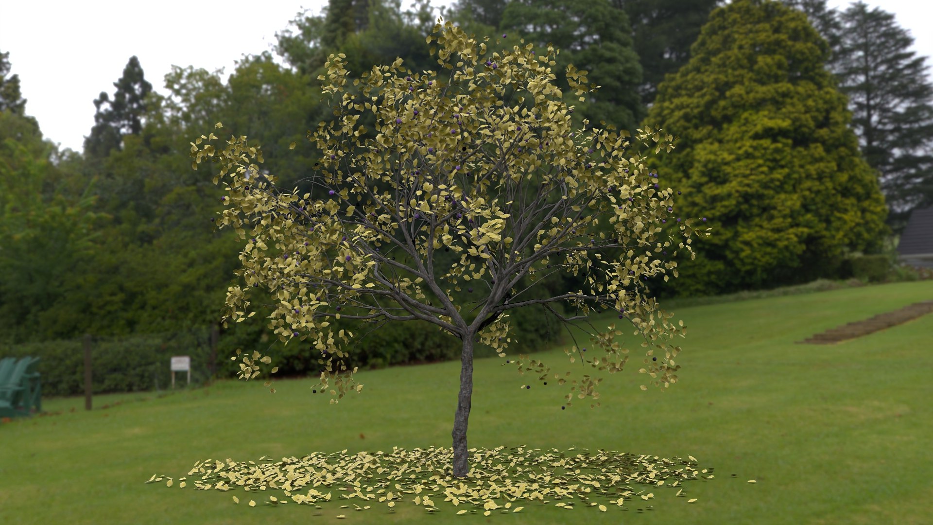 3D plum autumn hight - TurboSquid 1619800