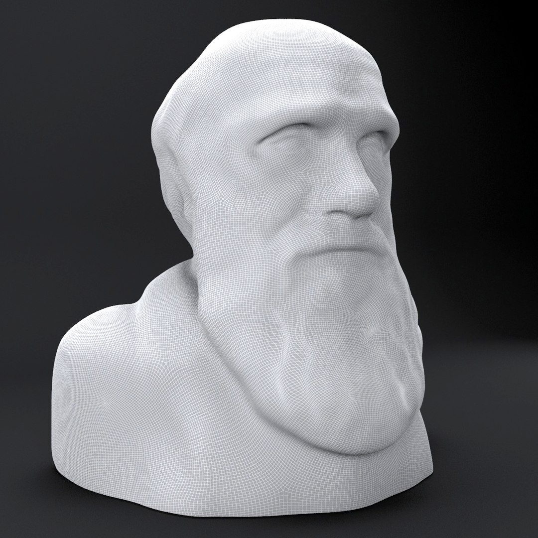 Bust Darwin 3D Model | 1142156 | TurboSquid