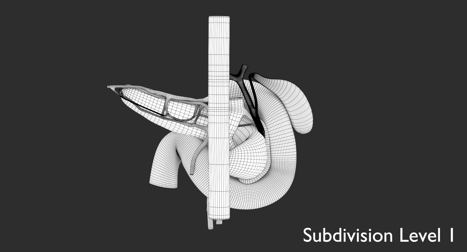 3D pancreas anatomical model - TurboSquid 1161335