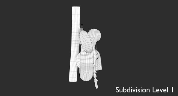 3D pancreas anatomical model - TurboSquid 1161335