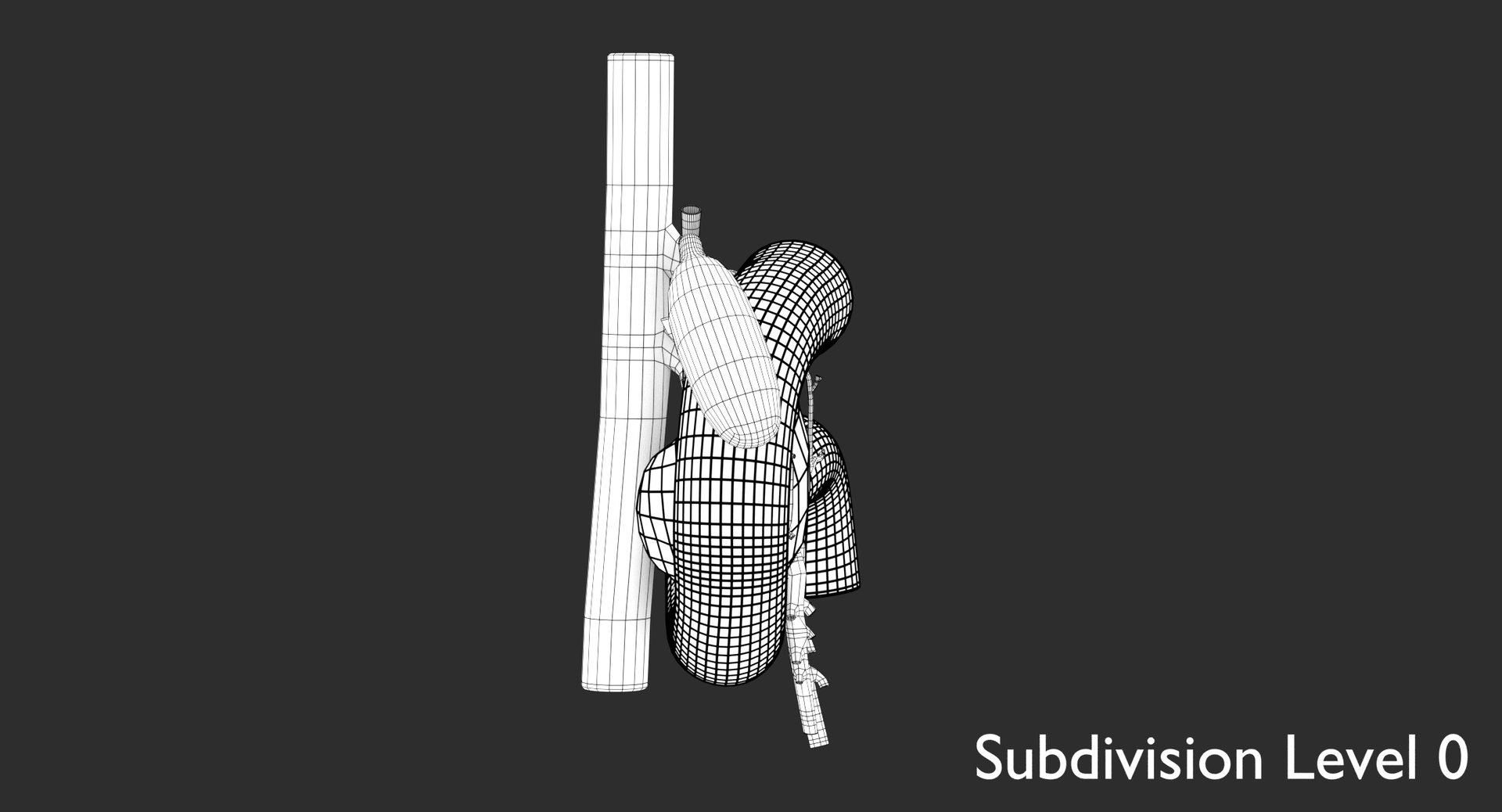 3D pancreas anatomical model - TurboSquid 1161335