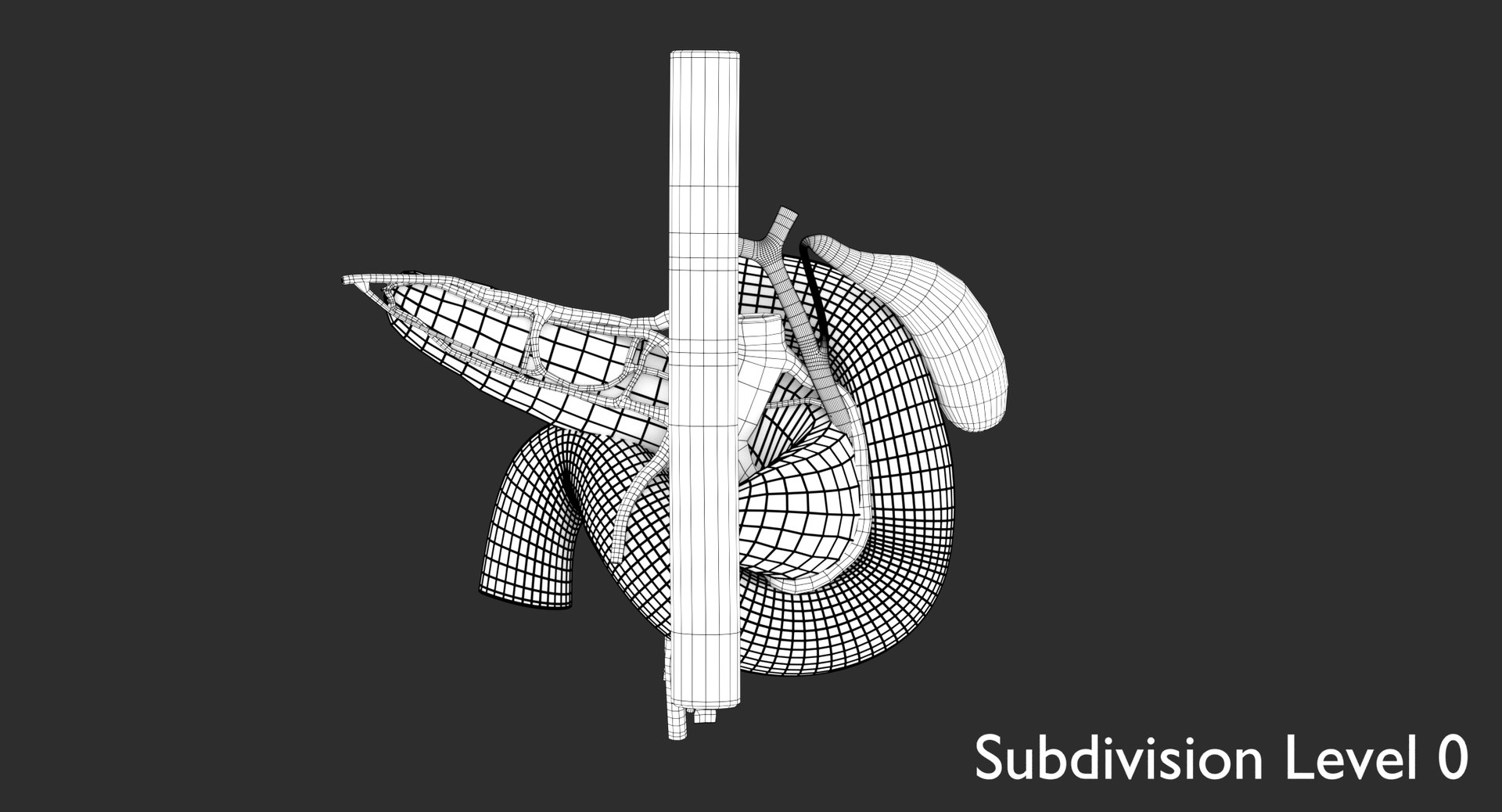 3D pancreas anatomical model - TurboSquid 1161335