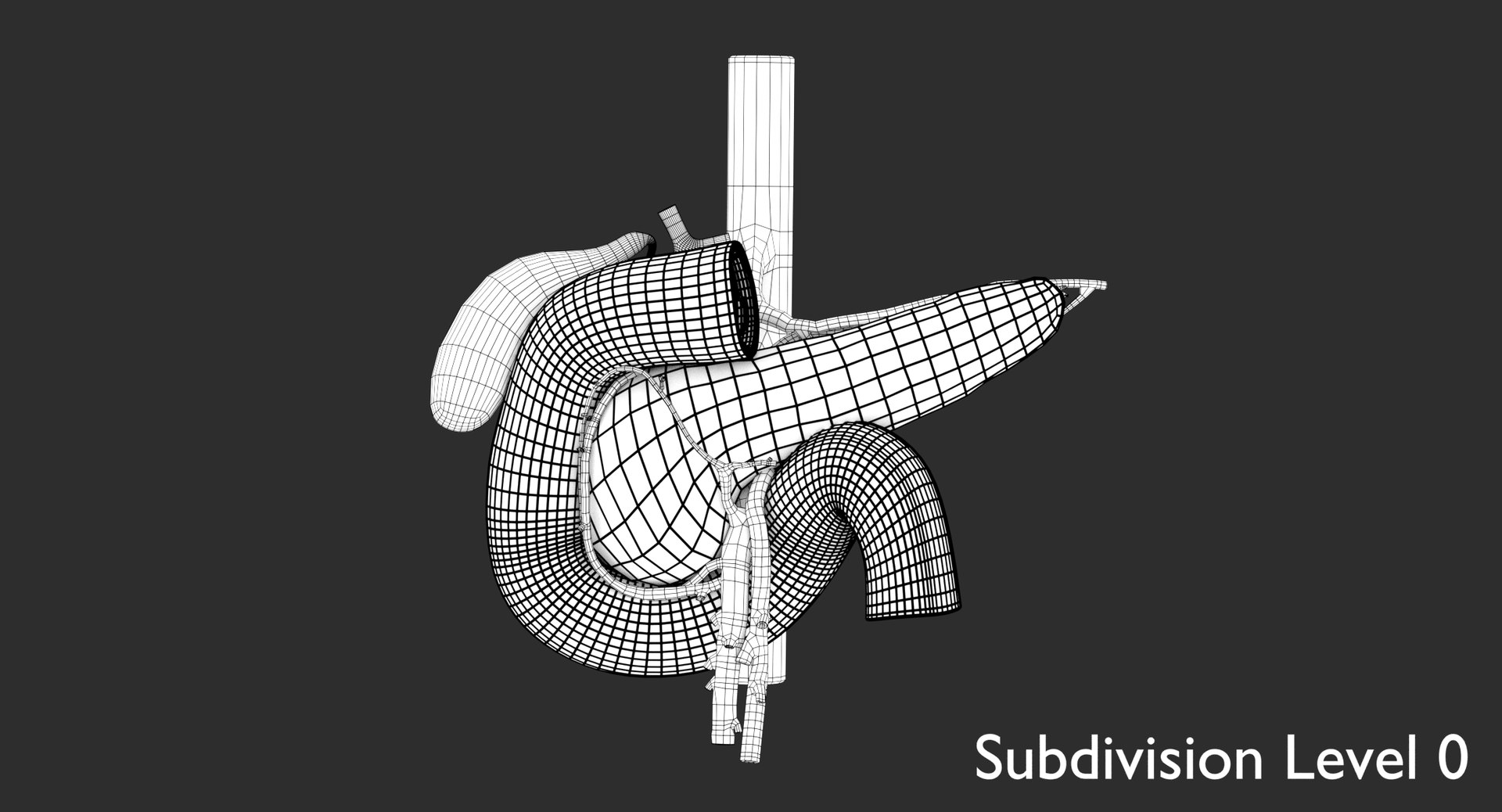 3D pancreas anatomical model - TurboSquid 1161335