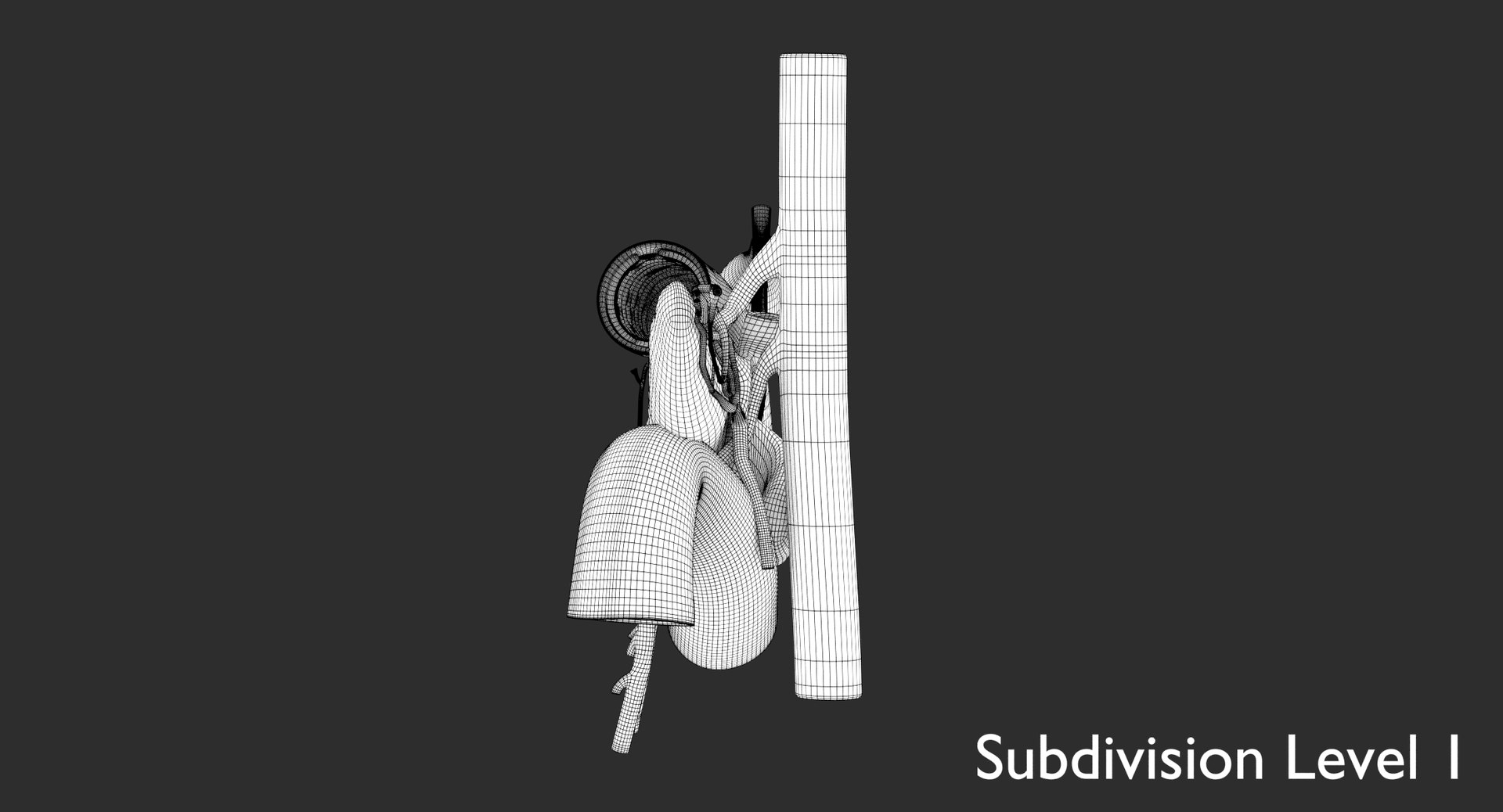 3D pancreas anatomical model - TurboSquid 1161335