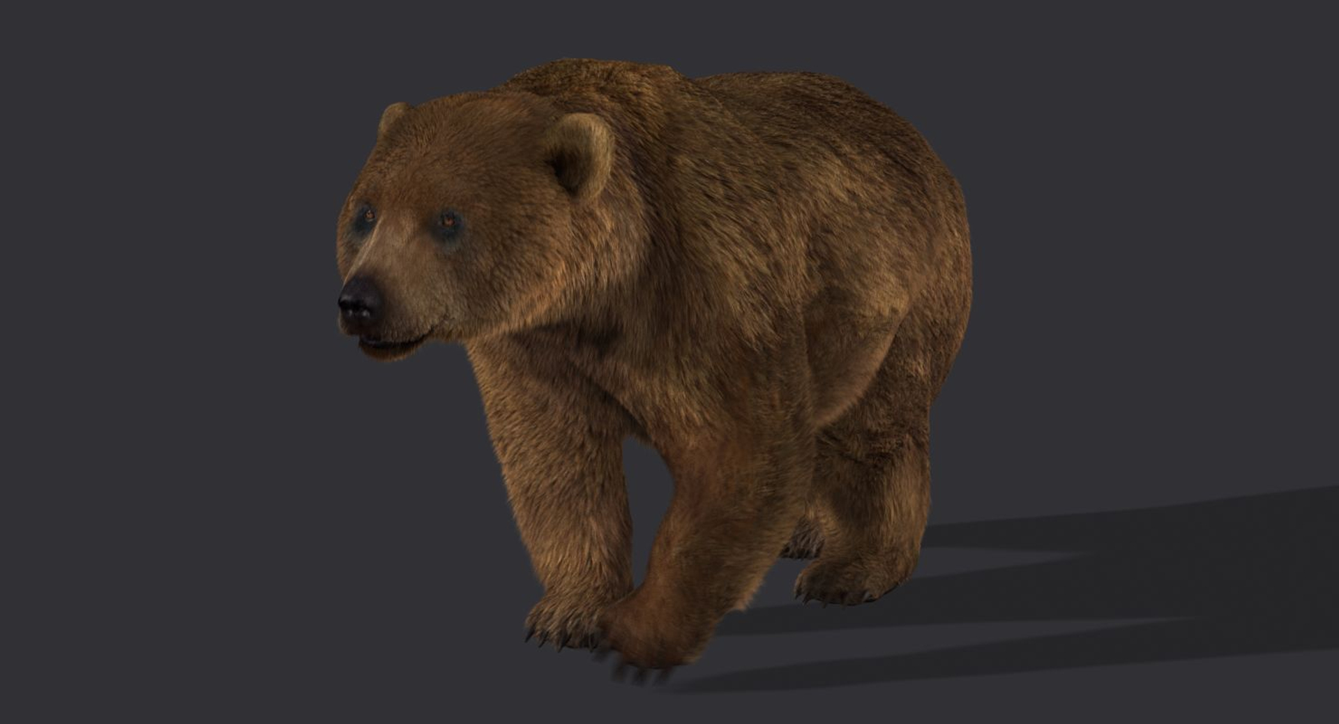 Ma Bear 2 Fur Animation