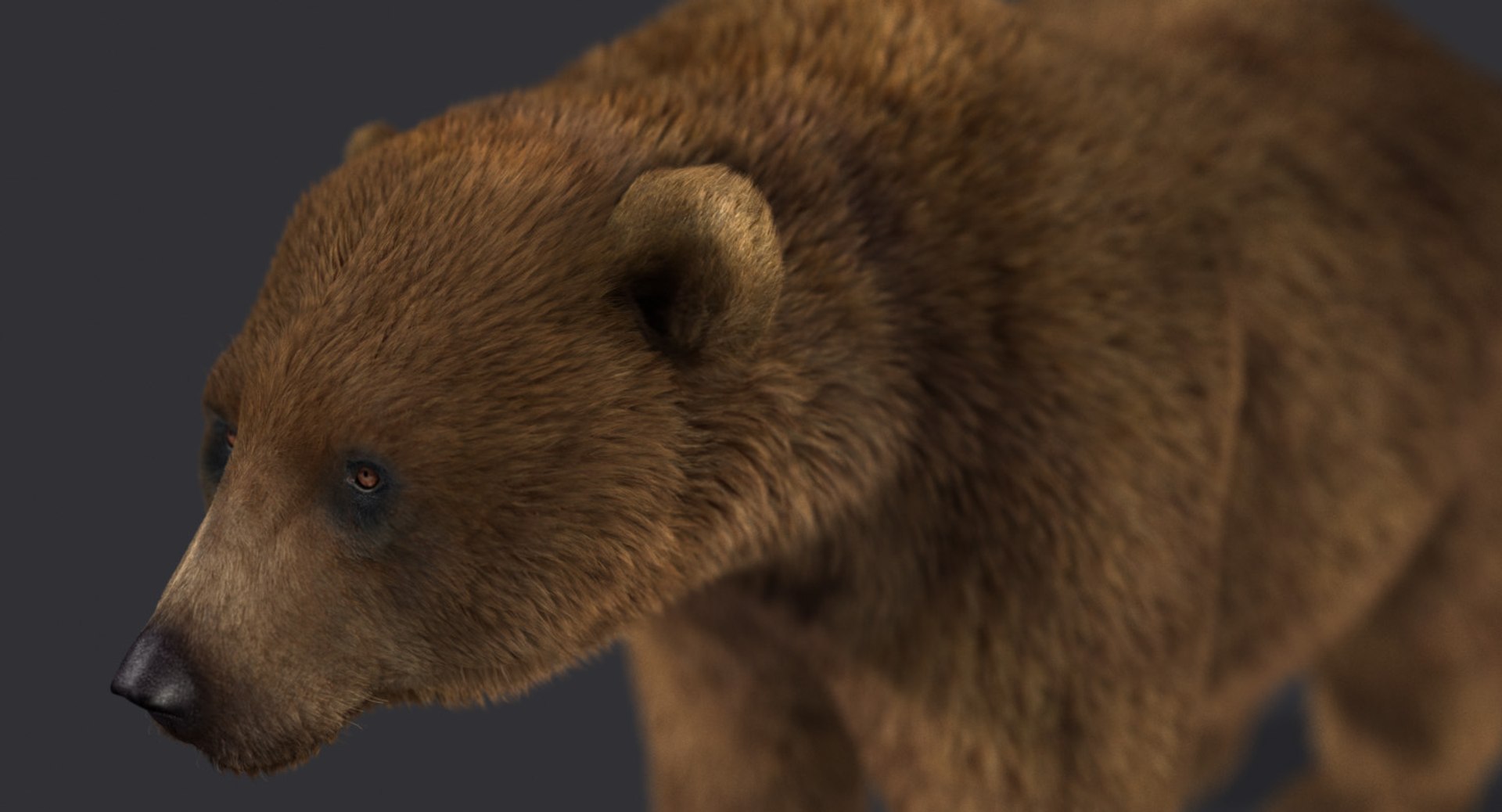 Ma Bear 2 Fur Animation