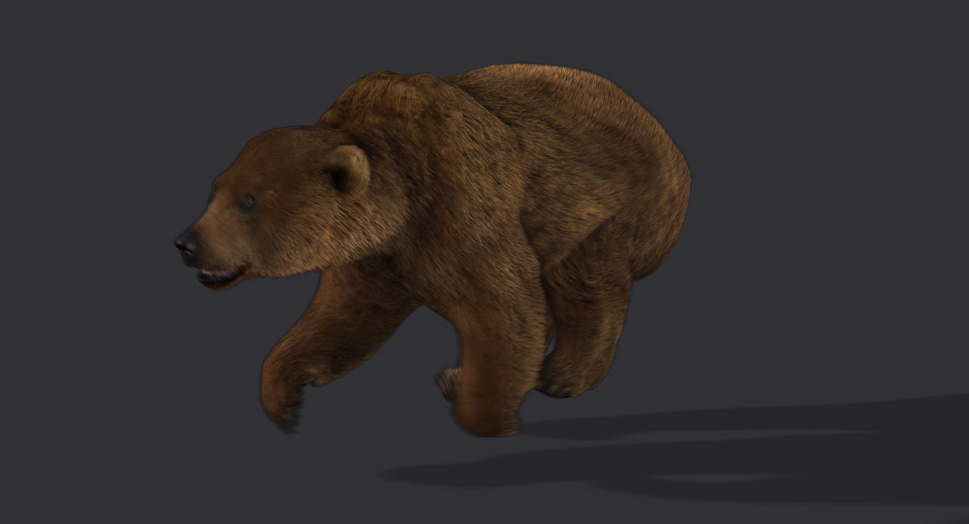 Ma Bear 2 Fur Animation