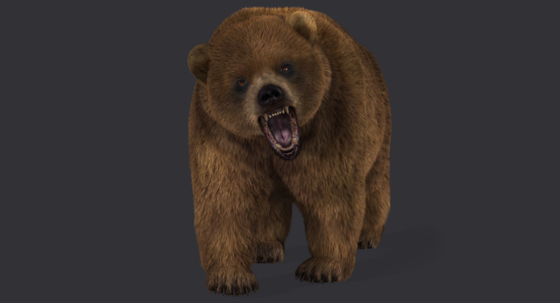 ma bear 2 fur animation