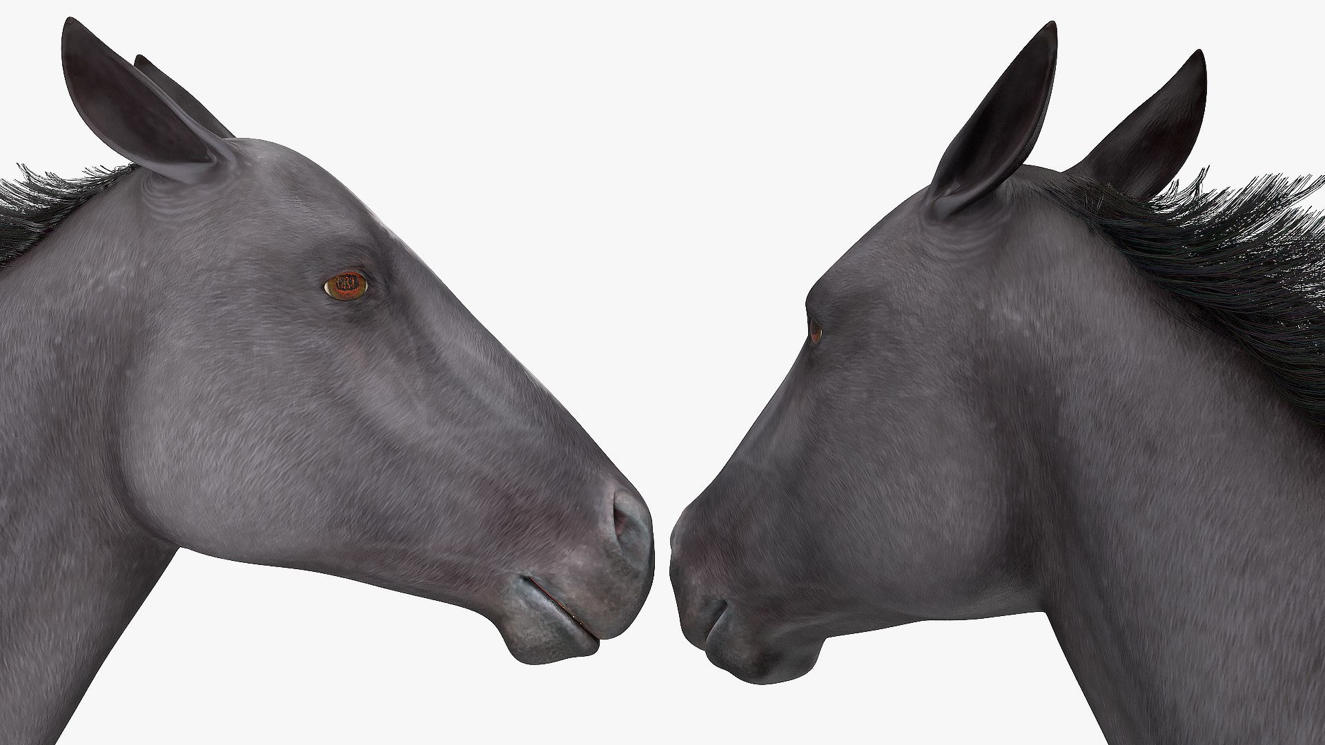 Gallop Pose Horse Racing 3D - TurboSquid 1454737