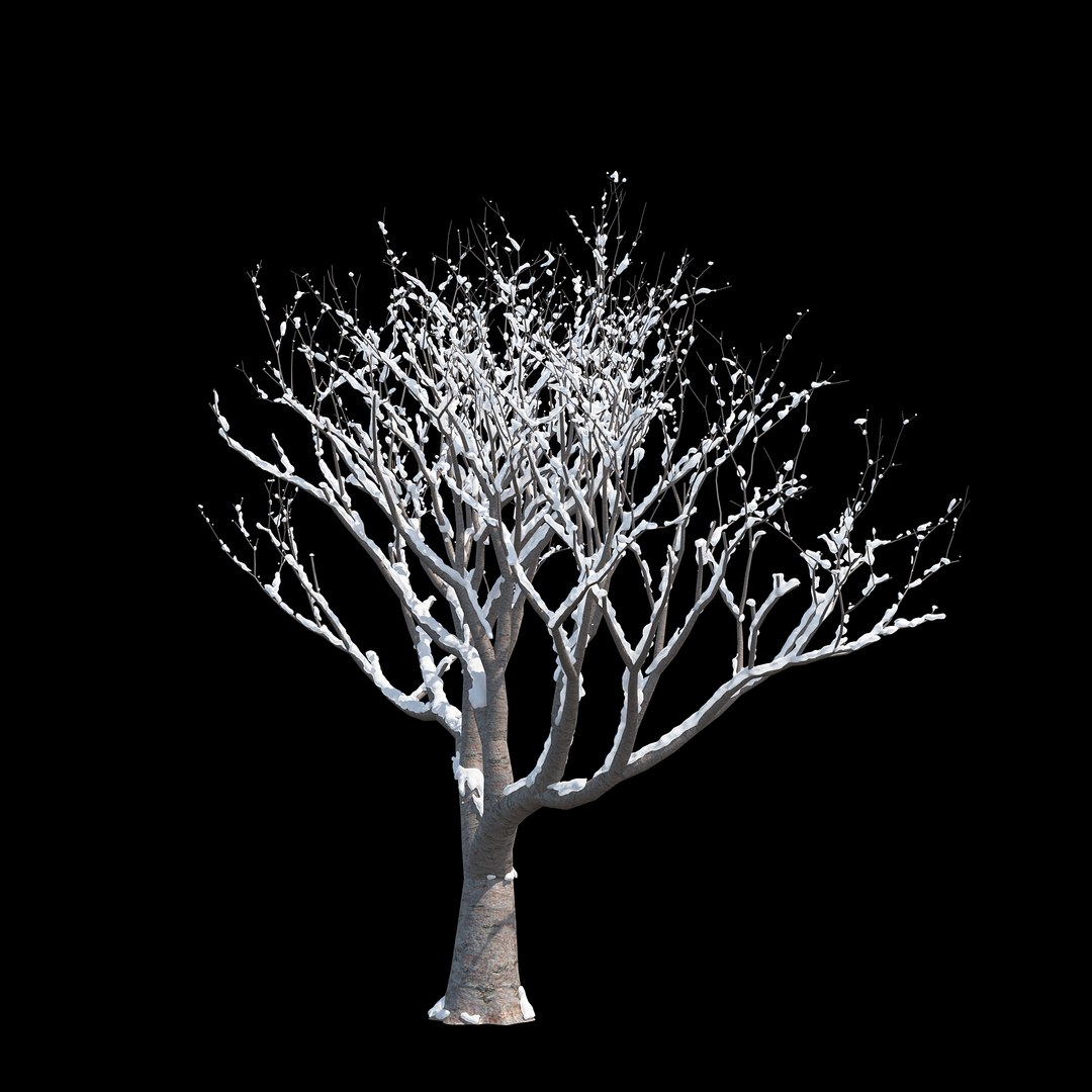 3D Winter Tree 010 - TurboSquid 1226337