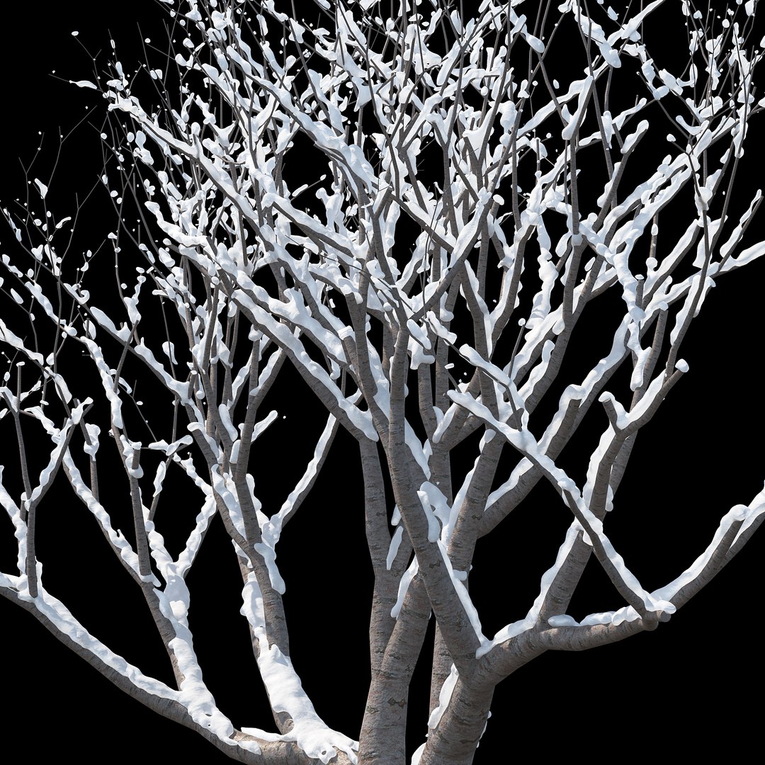 3D Winter Tree 010 - TurboSquid 1226337
