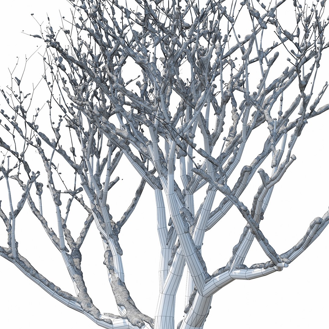 3D Winter Tree 010 - TurboSquid 1226337