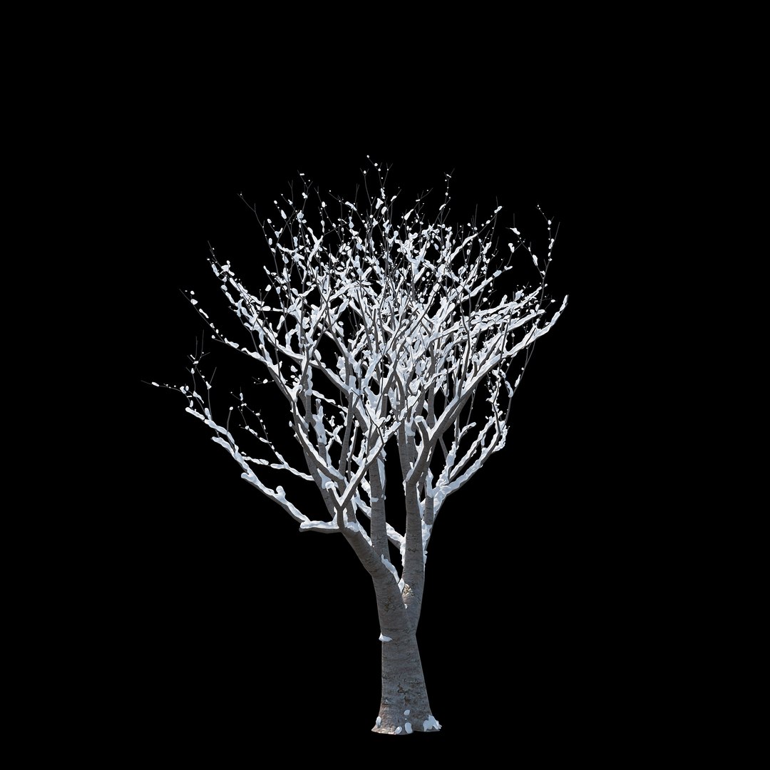 3D Winter Tree 010 - TurboSquid 1226337