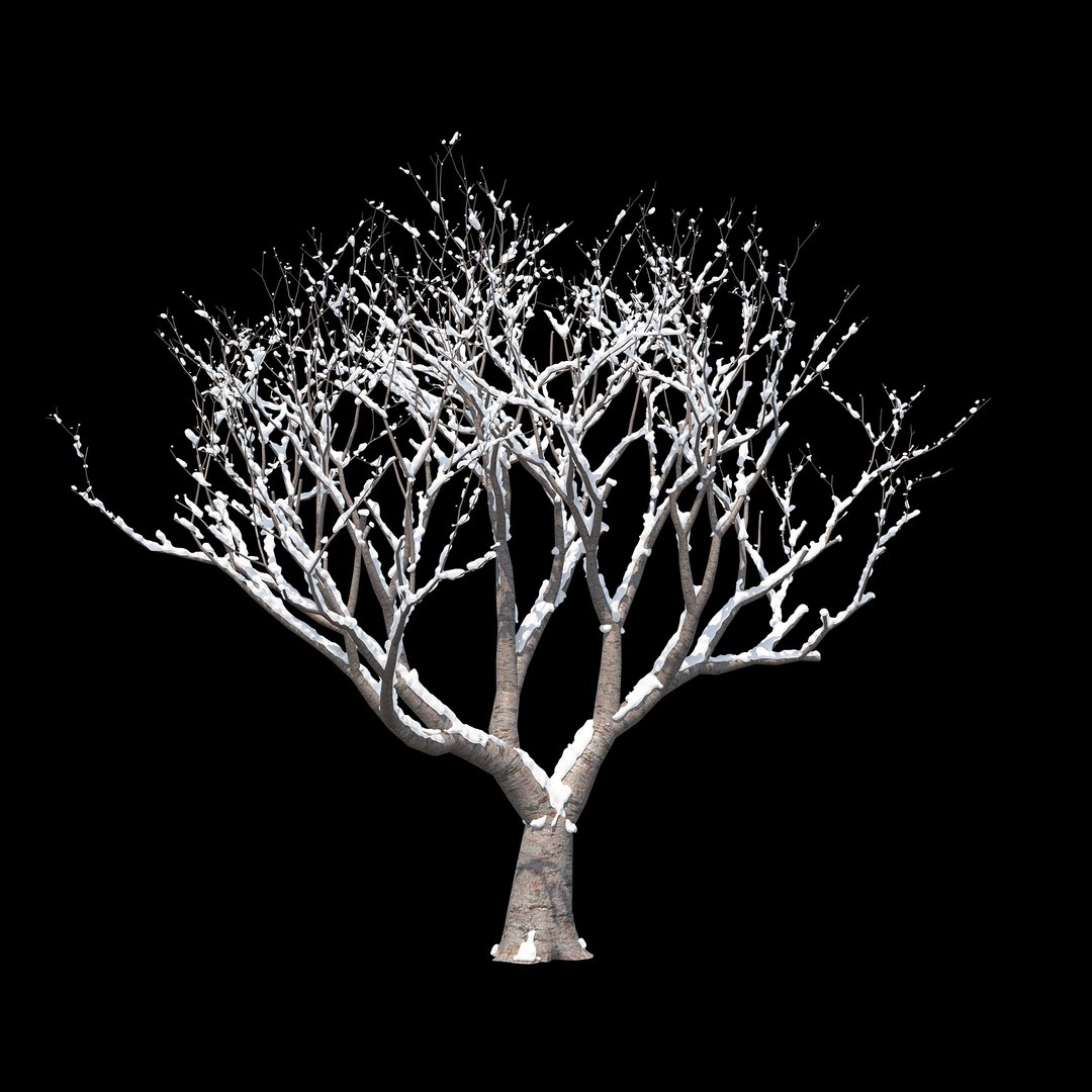 3D Winter Tree 010 - TurboSquid 1226337
