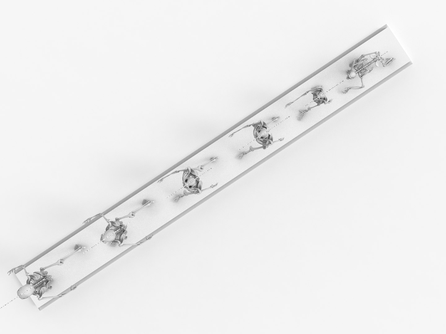 3D Skeleton Evolution Darwin - TurboSquid 1428005