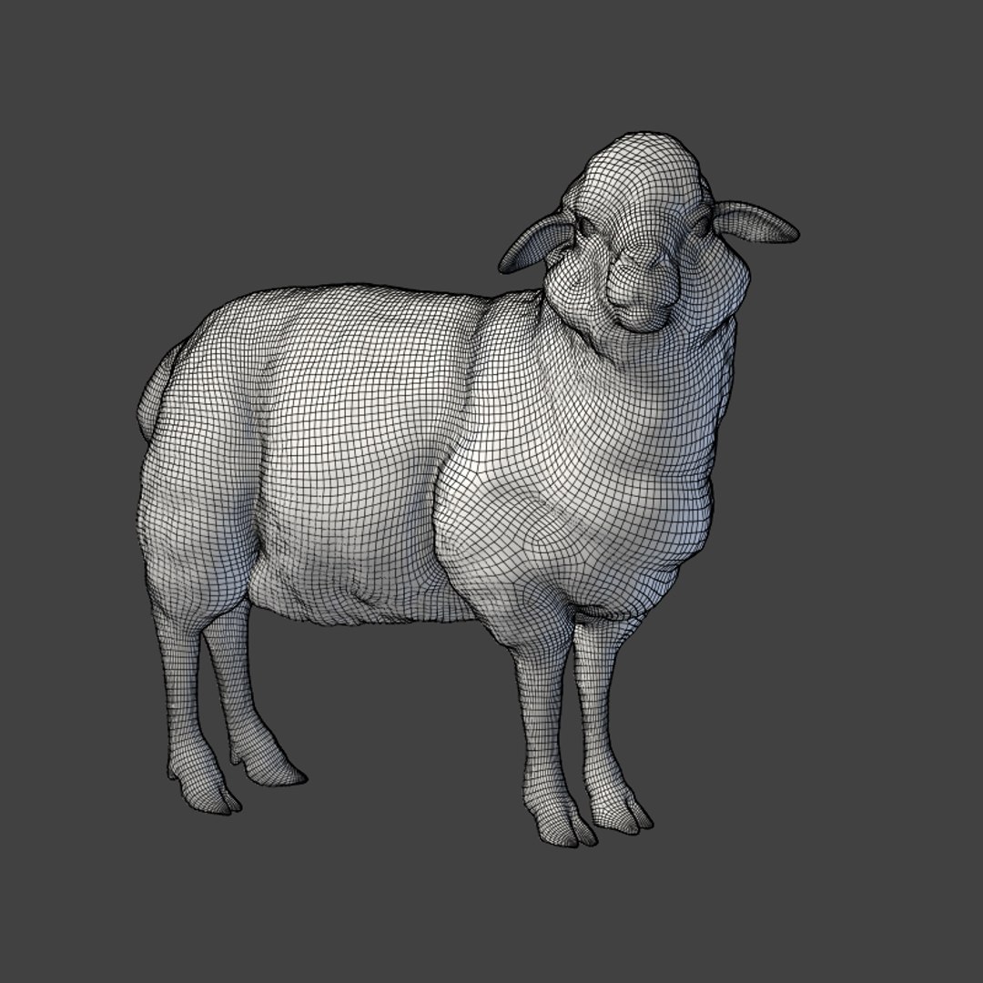 Sculpture Sheep 3d Model