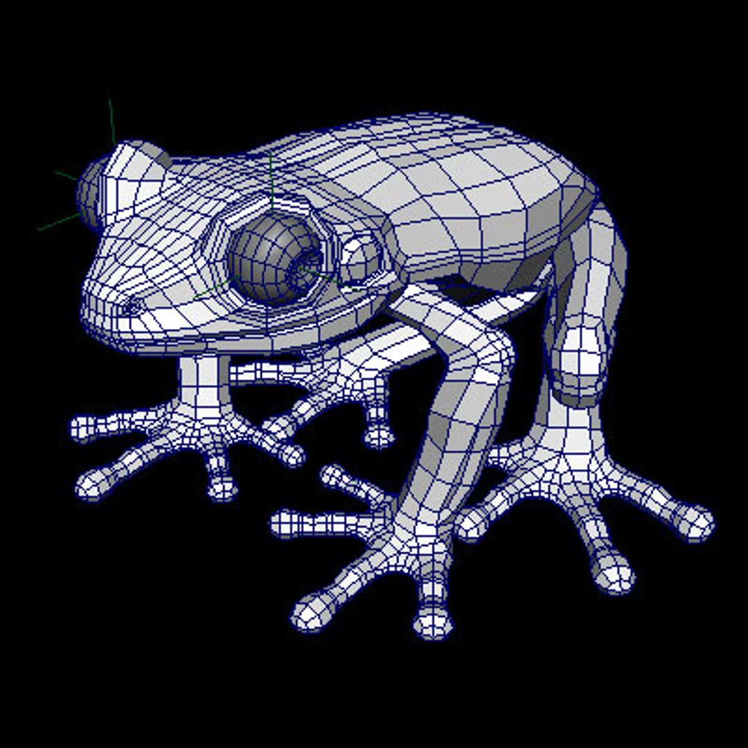 Frog 3d Model