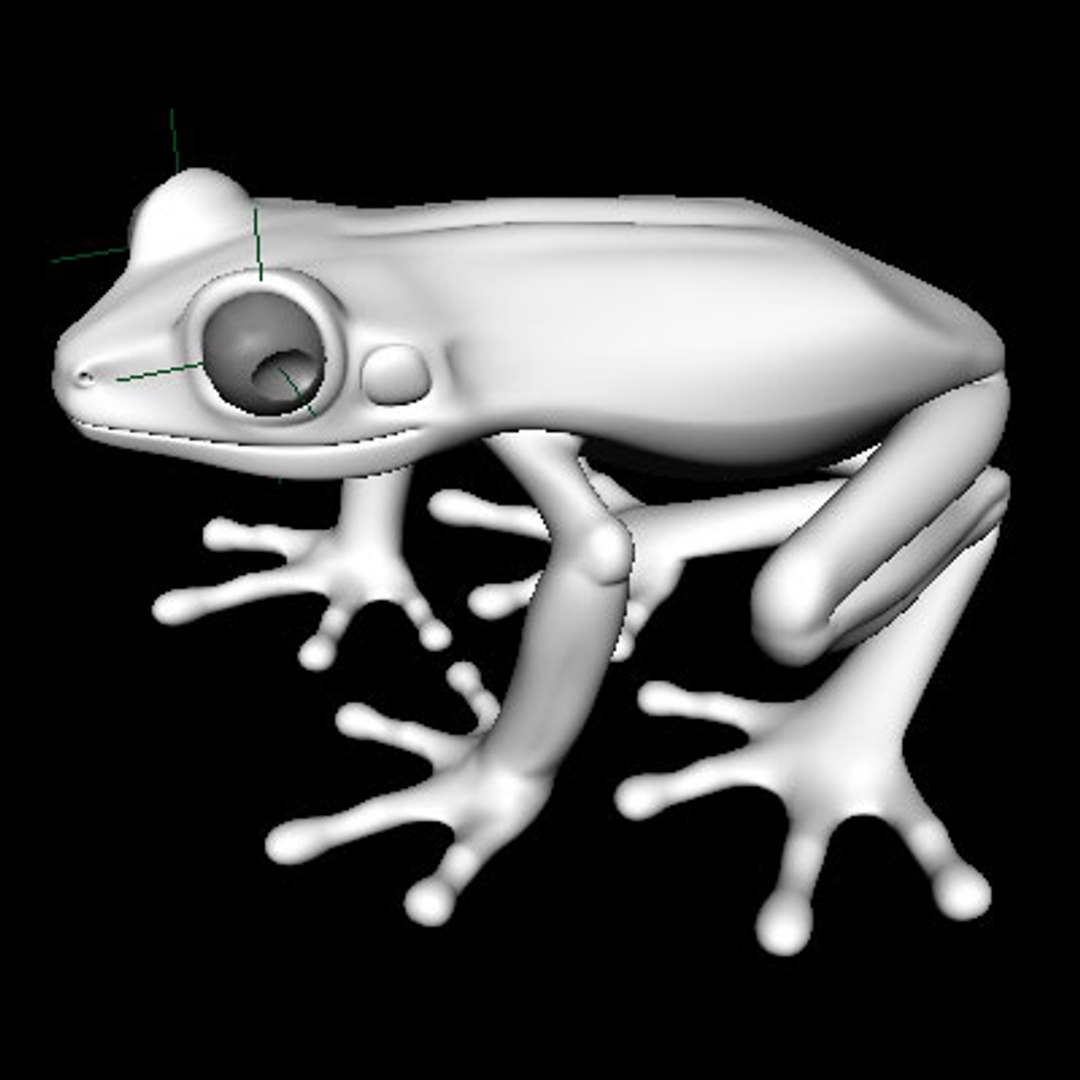 Frog 3d Model