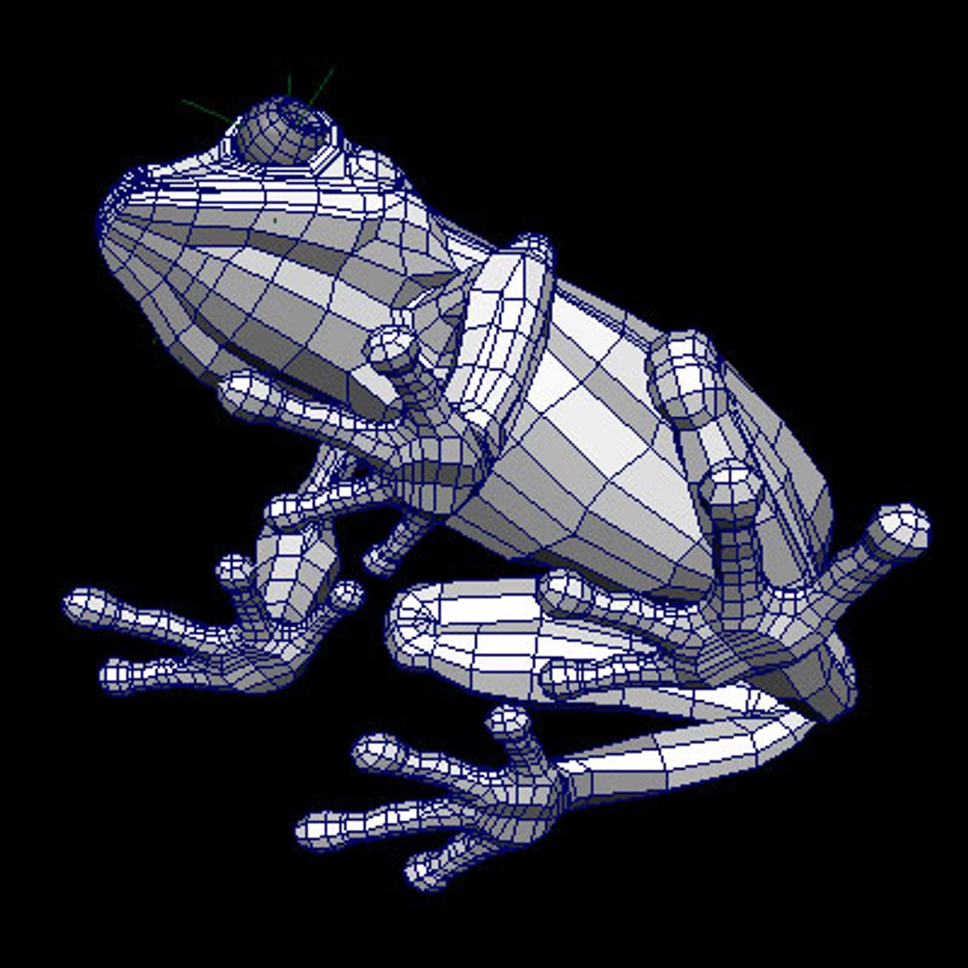 Frog 3d Model